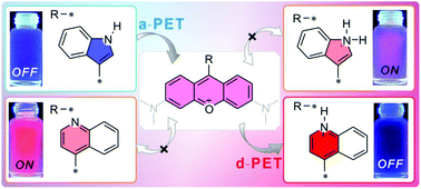 The pH-influenced PET processes between pyronine and different ...
