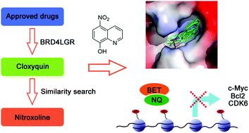 Discovery of novel BET inhibitors by drug repurposing of nitroxoline ...