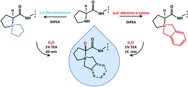 The unexpected racemization and hydrogen–deuterium exchange of the ...