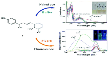 Colorimetric detection of iron and fluorescence detection of zinc and ...