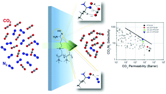 Gas separation mechanism of CO2 selective amidoxime-poly(1 ...