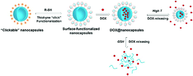 “Click” functionalization of dual stimuli-responsive polymer ...