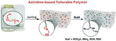 Aziridine-functionalized polydimethylsiloxanes for tailorable polymeric ...