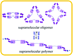 Photoresponsive AA/BB supramolecular polymers comprising stiff-stilbene ...