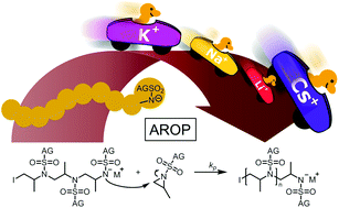 The living anionic polymerization of activated aziridines: a systematic ...