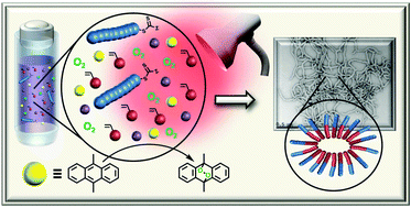 Application of oxygen tolerant PET-RAFT to polymerization-induced self ...