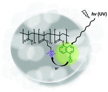 Light-responsive terpolymers based on polymerizable photoacids ...