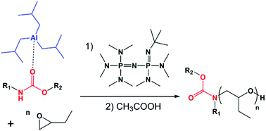 Phosphazene/triisobutylaluminum-promoted anionic ring-opening ...