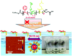 Aqueous solution behaviour of novel water-soluble amphiphilic ...