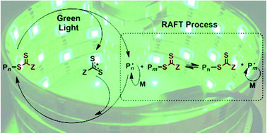 RAFT iniferter polymerization in miniemulsion using visible light - Polymer Chemistry (RSC ...