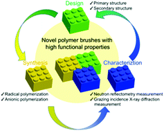 Control of the primary and secondary structure of polymer brushes by ...