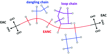 Modeling the formation and thermomechanical properties of ...