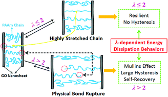 The energy dissipation and Mullins effect of tough polymer/graphene ...