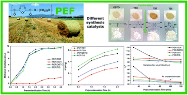 Effect of catalyst type on molecular weight increase and coloration of ...