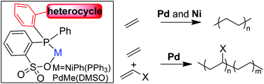 Chemistry Polymer Branching