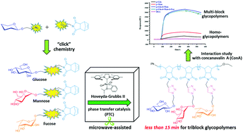 Microwave-assisted synthesis of glycopolymers by ring-opening ...