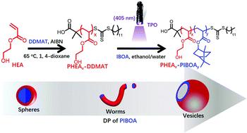 Rapid synthesis of well-defined all-acrylic diblock copolymer nano ...