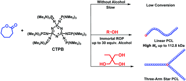 Synthesis of linear and star poly(ε-caprolactone) with controlled and ...