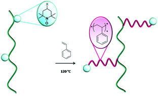 Styrene and substituted styrene grafted functional polyolefins via ...