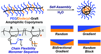 Self-assembly of PEG/dodecyl-graft amphiphilic copolymers in water ...