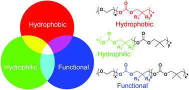 Recent development of functional aliphatic polycarbonates for the ...