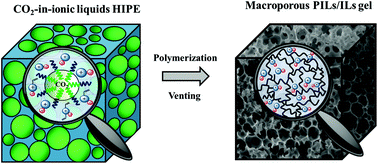 Macroporous poly(ionic liquid)/ionic liquid gels via CO2-based emulsion ...