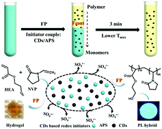 Generation of a carbon dots/ammonium persulfate redox initiator couple ...