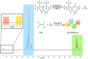 Synthesis and properties of poly(trifluoroethylene) via a persistent ...