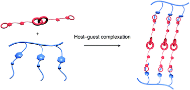 A novel supramolecular polymer network based on a catenane-type ...