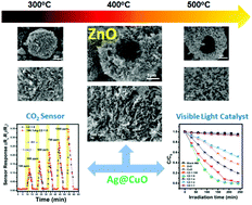 Modulating interleaved ZnO assembly with CuO nanoleaves for ...
