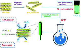 Electrochemical sensor based on novel two-dimensional nanohybrids: MoS2 ...