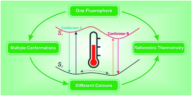 Ground-state conformers enable bright single-fluorophore ratiometric ...