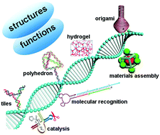 Selfassembled Dna Nanomaterials With Highly Programmed Designer DNA