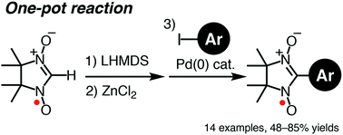A direct synthetic method for (nitronyl nitroxide)-substituted π ...