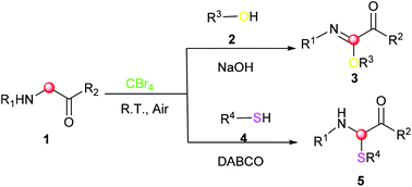 CBr4-mediated cross-coupling reactions of α-amino carbonyl compounds ...