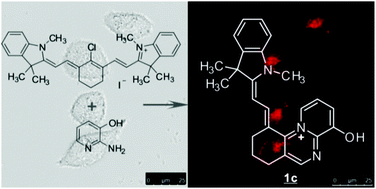 Synthesis and optical properties of cyanine dyes with an aromatic ...