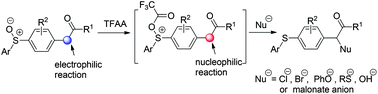 Aromatic Pummerer reaction for the remote para- or ortho-benzyl ...