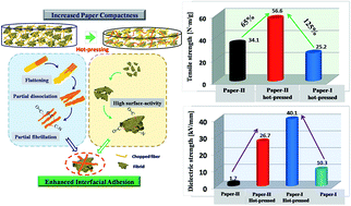 Toward high-performance poly(para-phenylene terephthalamide) (PPTA ...