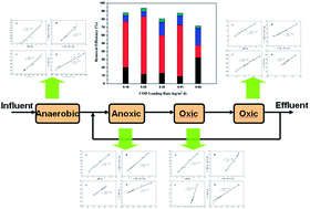 Four-stage biofilm anaerobic–anoxic–oxic–oxic system for strengthening ...