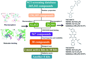 Rapid identification of dual p53-MDM2/MDMX interaction inhibitors ...