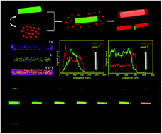 Hexagonal β-Na(Y,Yb)F4 based core/shell nanorods: epitaxial growth ...
