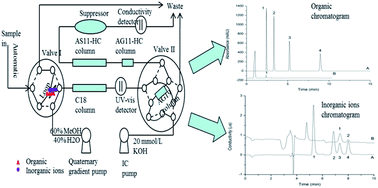 Simultaneous determination of parabens and inorganic anions in ...