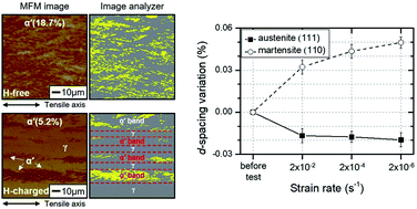 Effect of hydrogen on dislocation structure and strain-induced ...