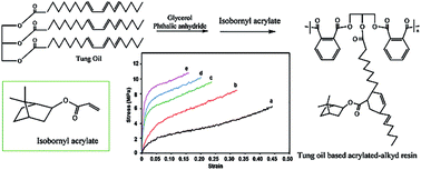 Synthesis and characteristics of tung oil-based acrylated-alkyd resin ...