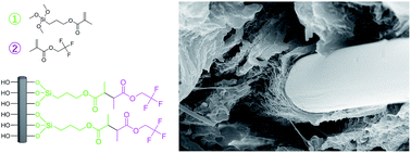 Effects of surface fluoride-functionalizing of glass fiber on the ...