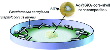 Tunable Ag@SiO2 core–shell nanocomposites for broad spectrum ...
