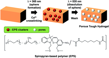 A new light triggered approach to develop a micro porous tough hydrogel ...