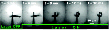 Light activated non-reciprocal motion in liquid crystalline networks by ...