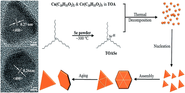Colloidal synthesis and magnetic properties of anisotropic-shaped ...