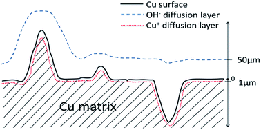 Effects of electrochemical reaction and surface morphology on ...
